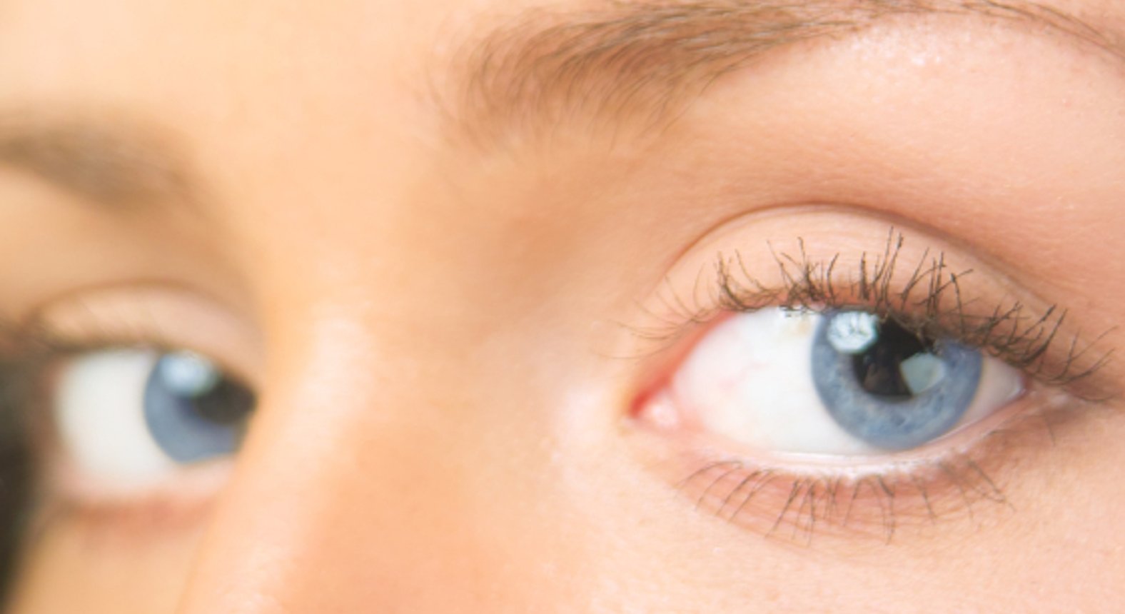 Prim. Univ.-Prof. Dr. Matthias Bolz - Netzhautchirurgie | Augenarzt in ...