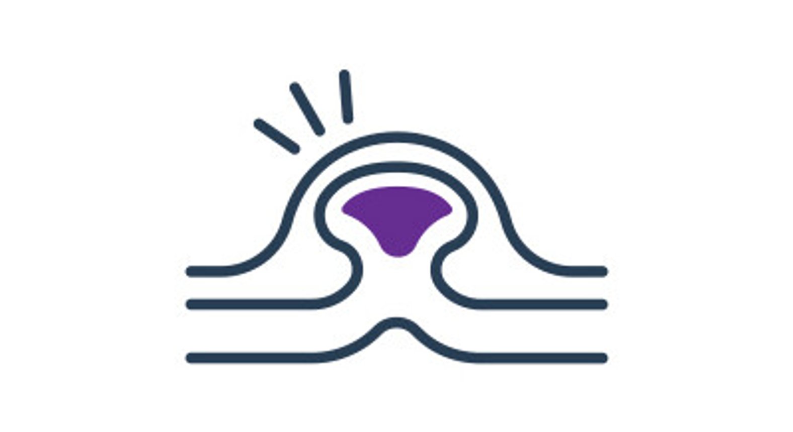 Prof.Dr. Michael Rogy - Hernienchirurgie (Leistenbruch, Nabel- und ...